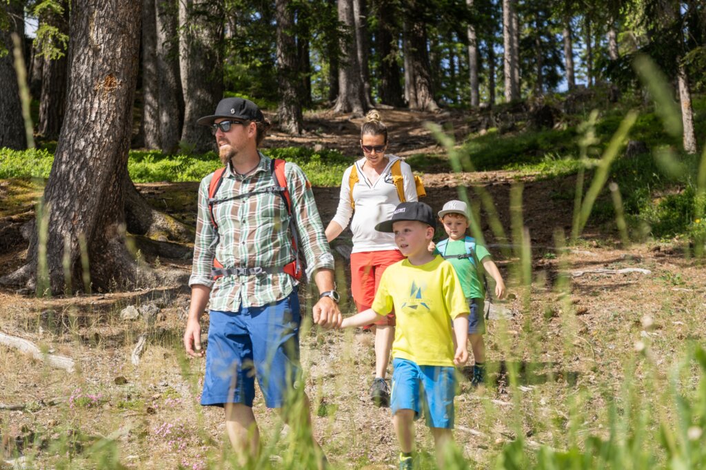 Around the Nature Park Visitor Center | Tyrolean Oberland