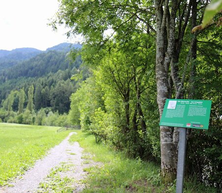 Faggen in Tirol | Tiroler Oberland